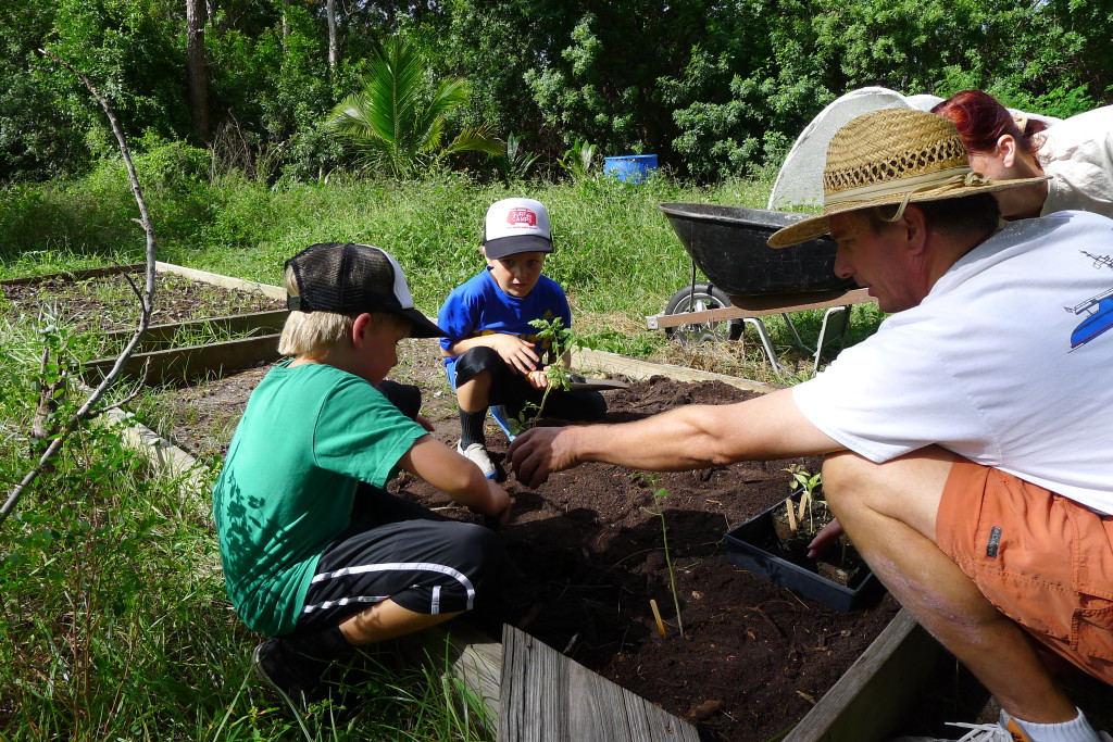 Our main garden season has officially started - The Fruitful Field