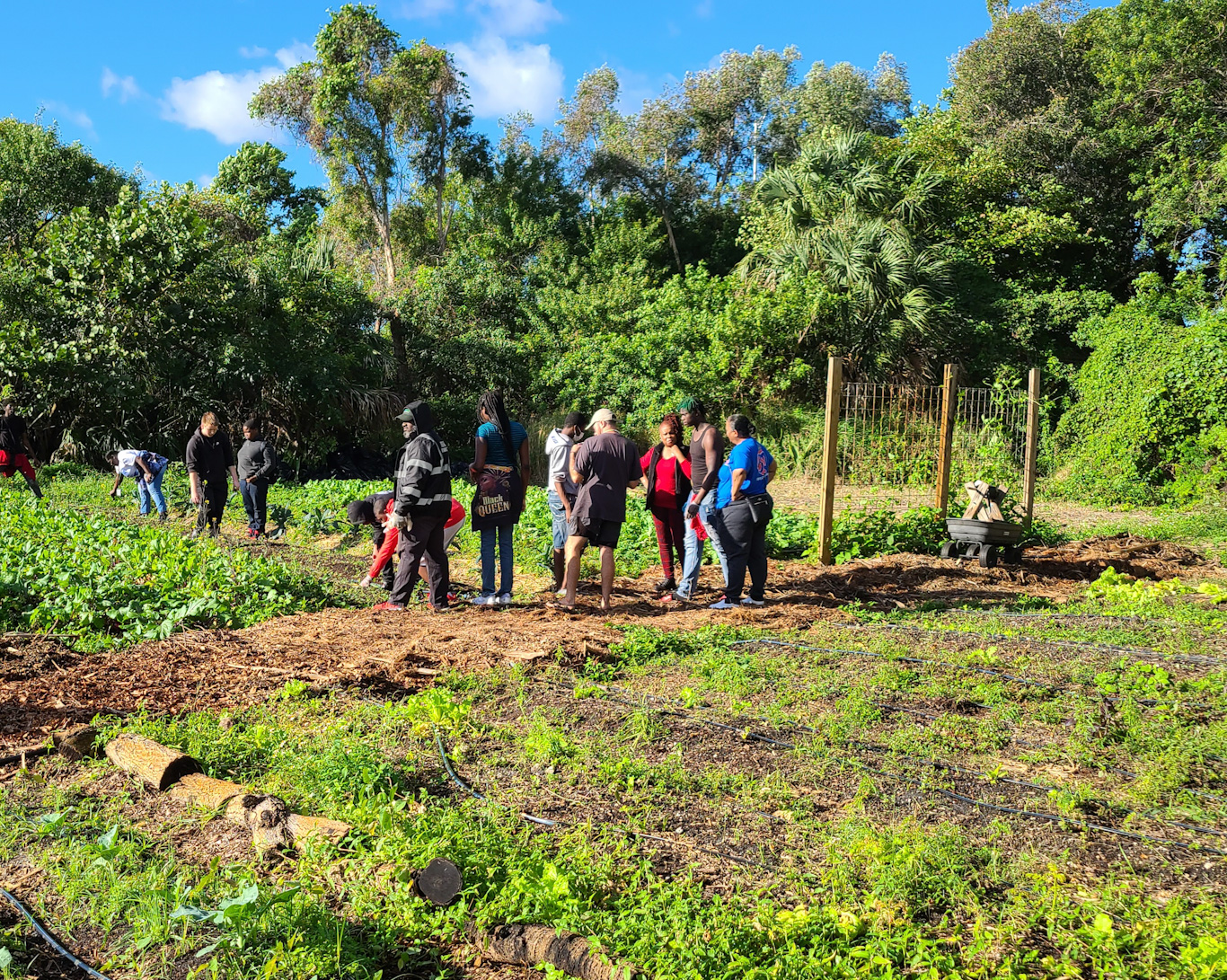 About Us - The Fruitful Field