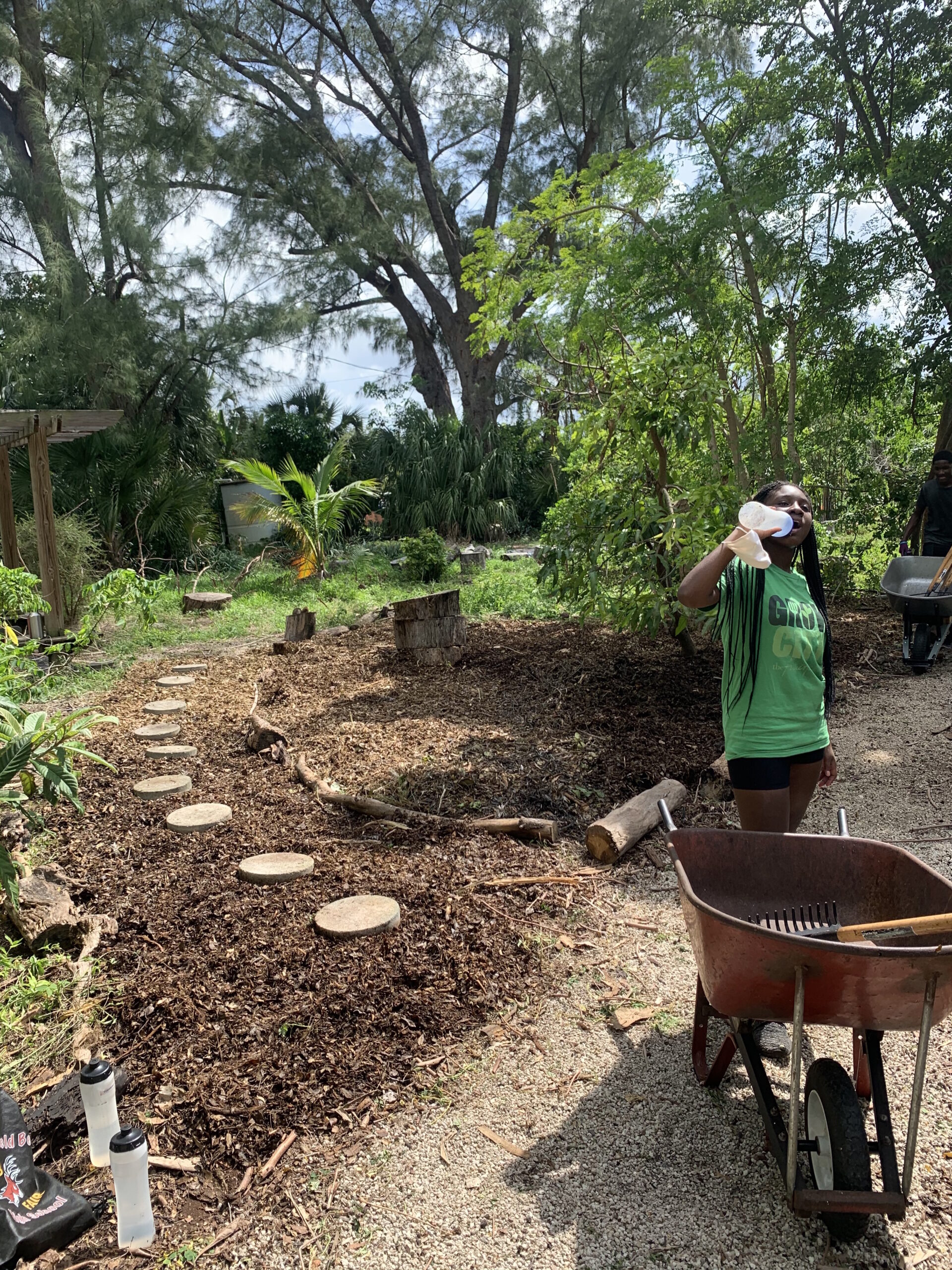 A Summer of Building - The Fruitful Field