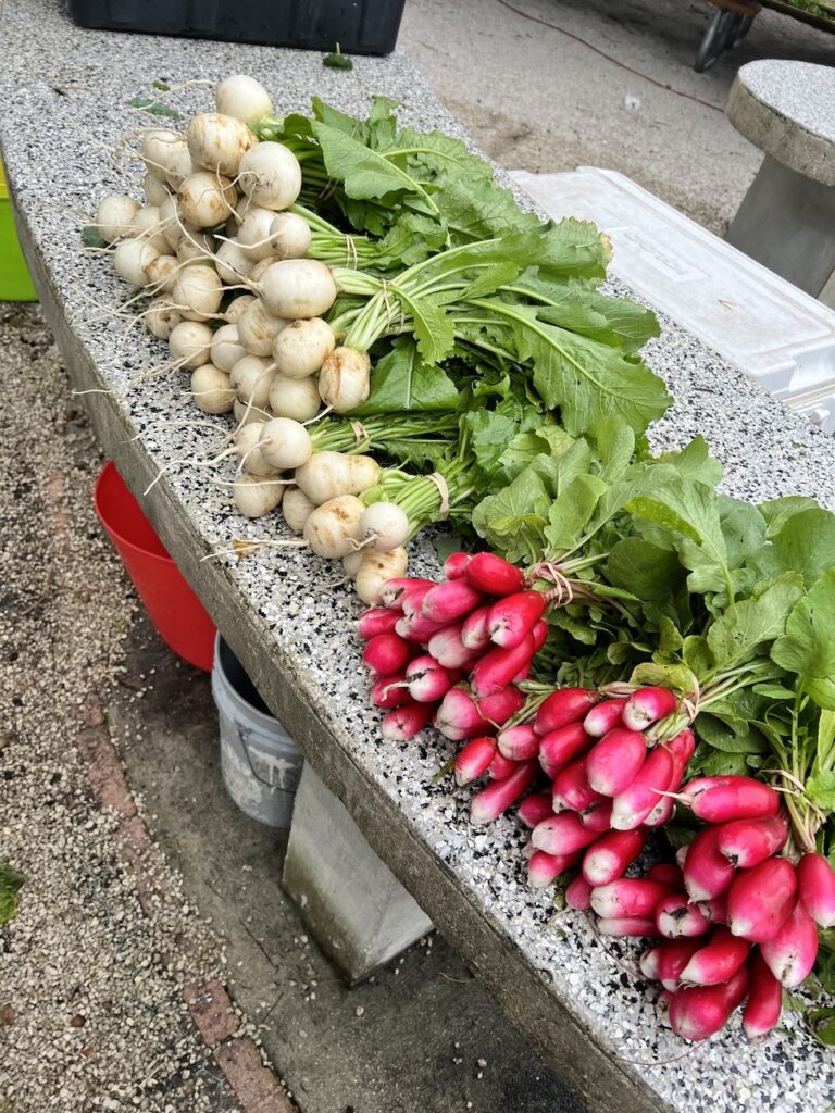 The Fruitful Field - The Fruitful Field