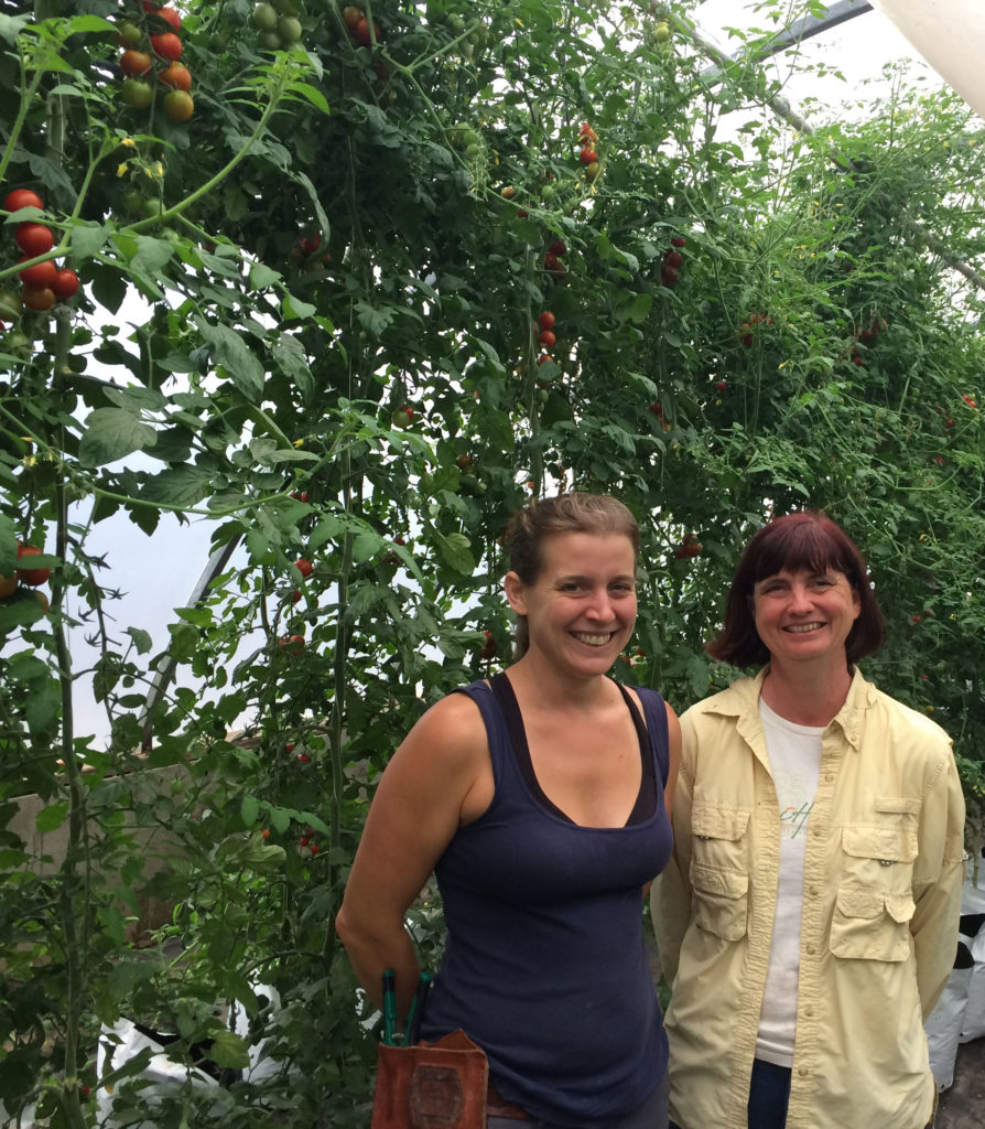 What Our Farmer Did This Summer - The Fruitful Field