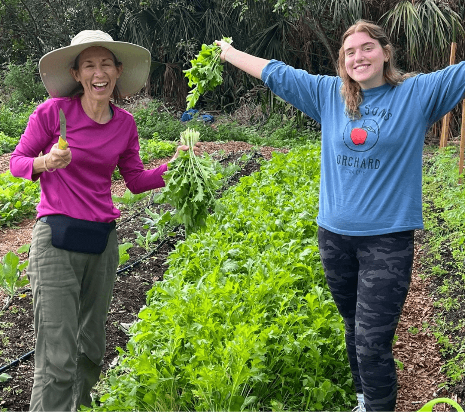 About Us - The Fruitful Field