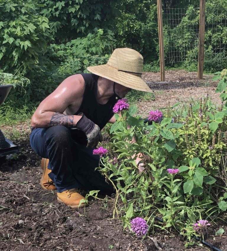 About Us - The Fruitful Field