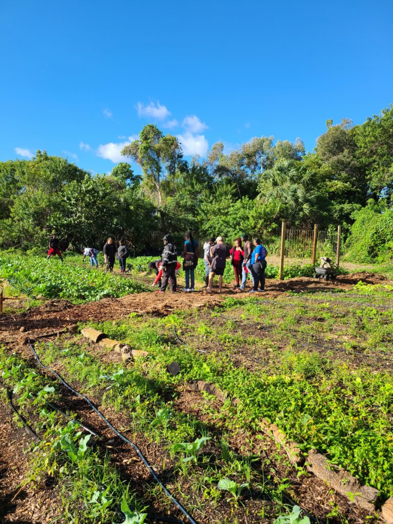 Donate - The Fruitful Field