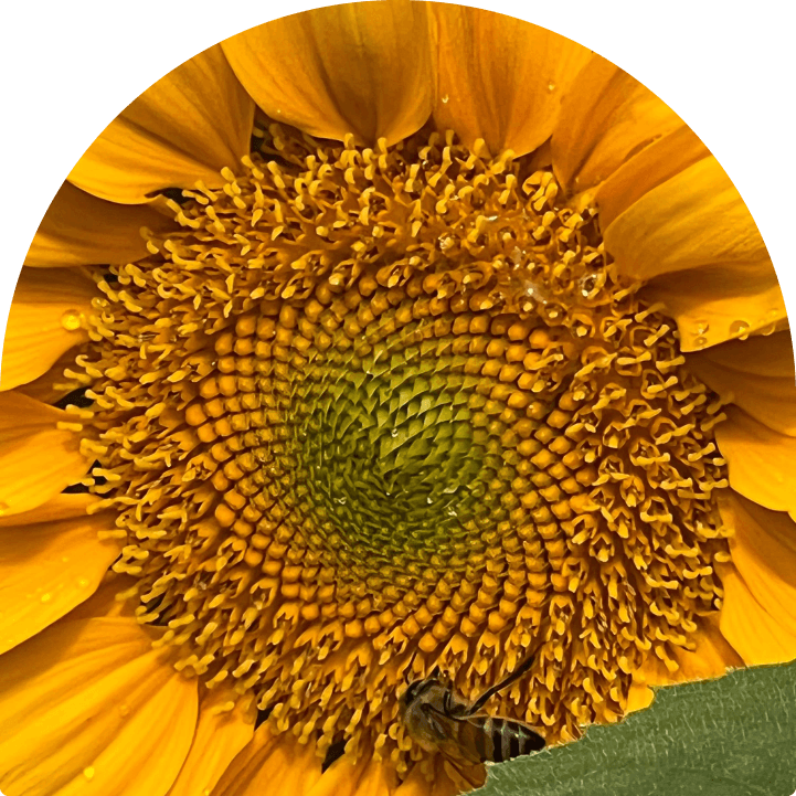 Contact - The Fruitful Field