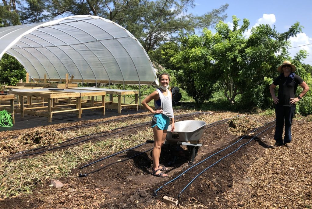 Our New CSA Season is Growing - Reserve Your Share - The Fruitful Field