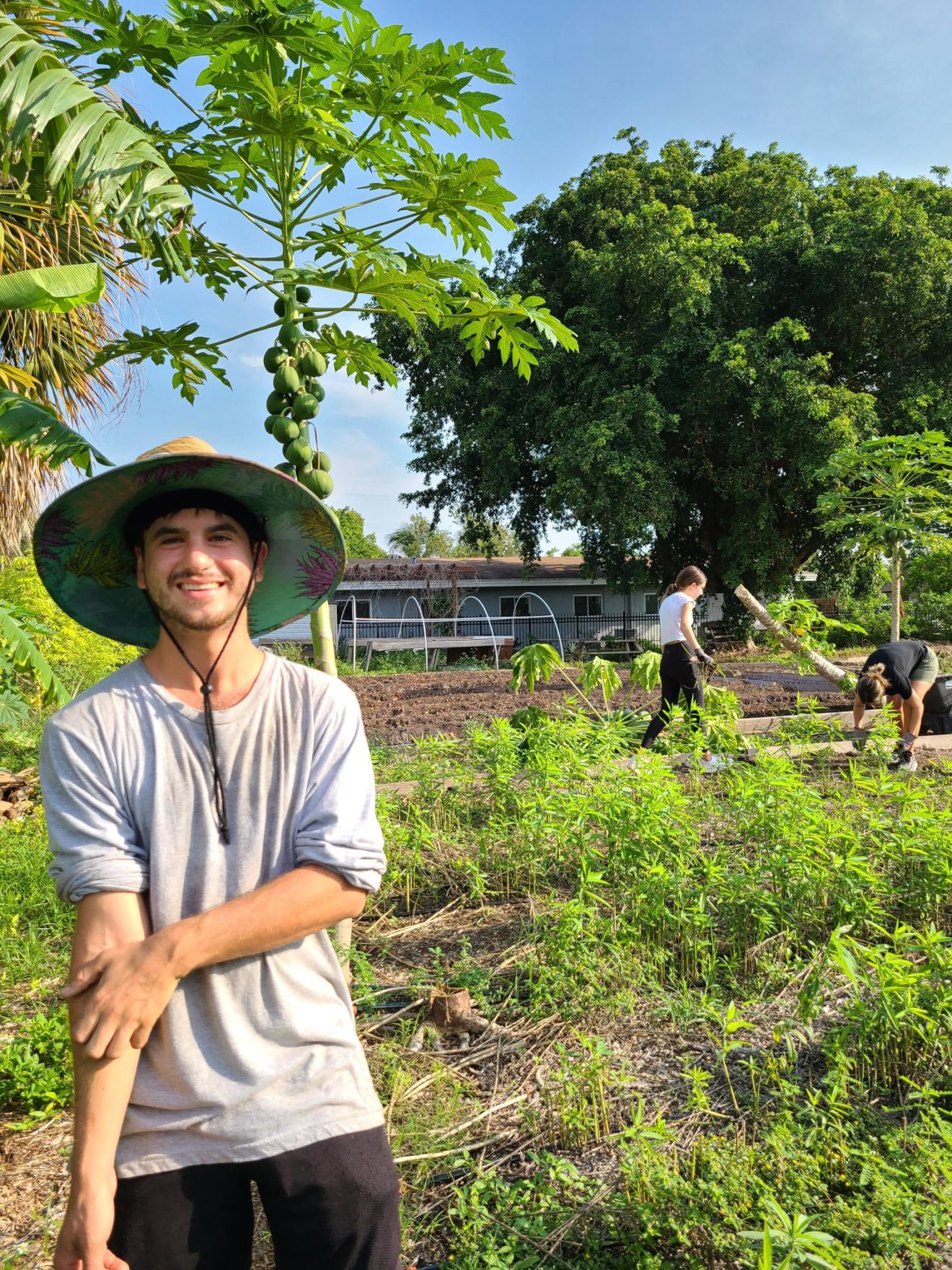 About Us - The Fruitful Field